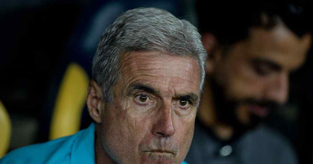 Opinião: Desabafo de Luis Castro é justíssimo e nos faz refletir sobre ...