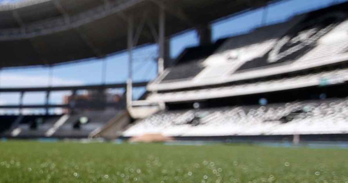 Botafogo x Palmeiras: Superclássico no Nilton Santos com Biometria ...